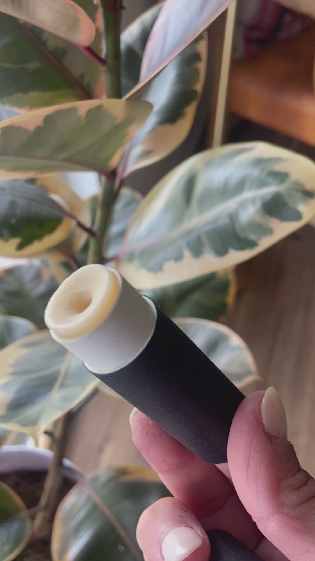 {PRE ORDER} Piñon Pine Wilderness Lip Balm – little ch'aska farm